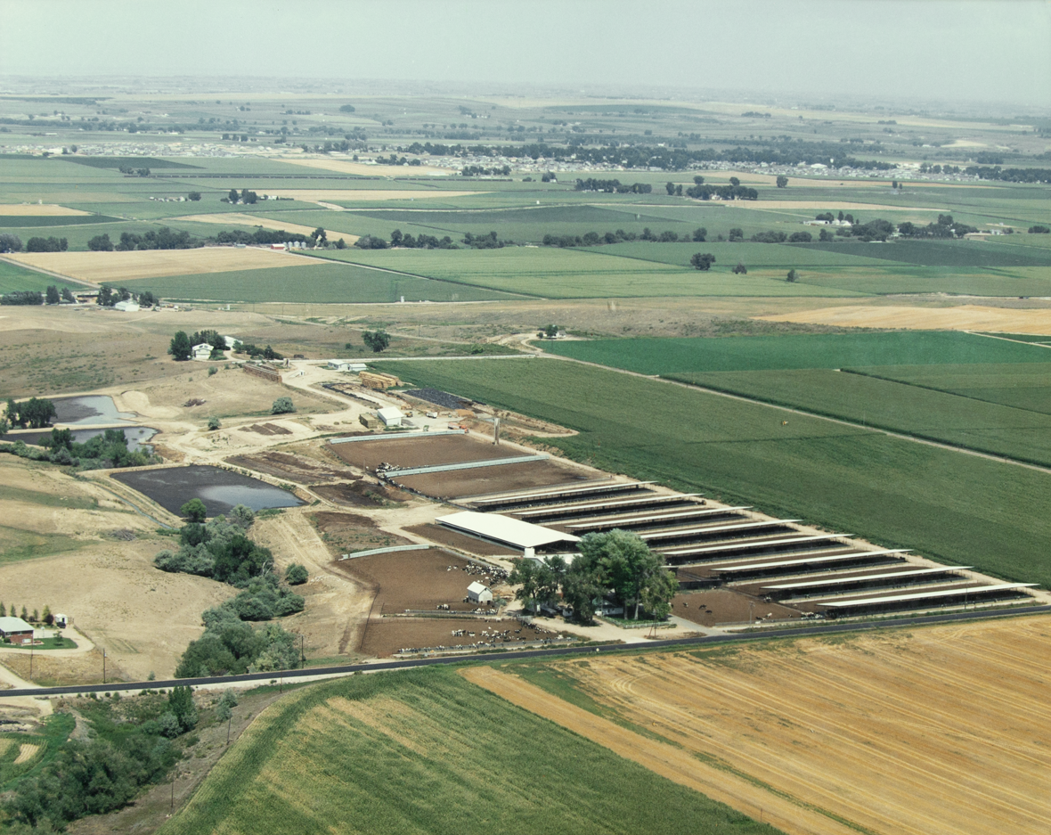 The Story - Bella Ridge Golf Club